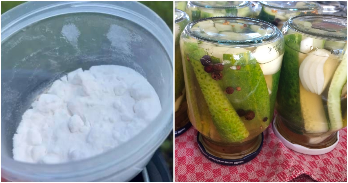 Hnojení okurek sodou a jódem | Chalupáři-Zahrádkáři