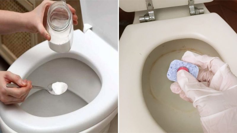 Jak odstranit vodní kámen na toaletě | Chalupáři-Zahrádkáři