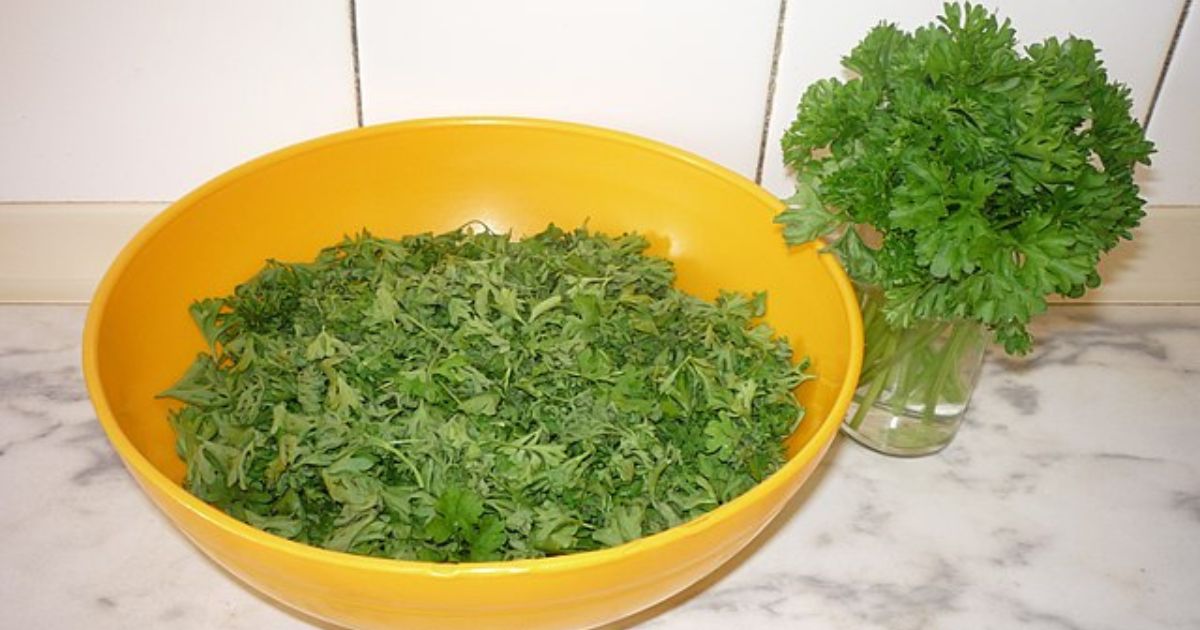 Letošní příznivé dny pro setí petržele. Zásoba bude obří