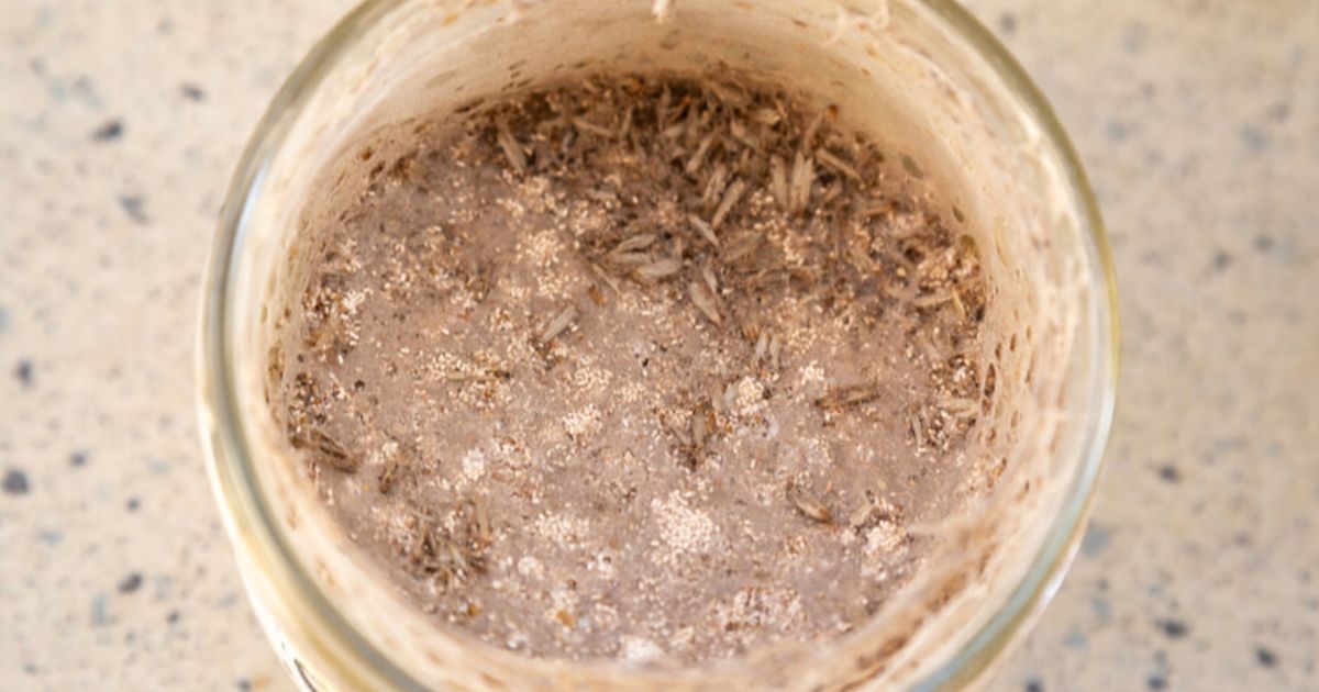 Kuchyně bez molů: Ocet proti nim vytvoří neviditelnou bariéru