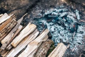 Vyhazujete dřevěný popel? Přicházíte o nejlepší hnojivo