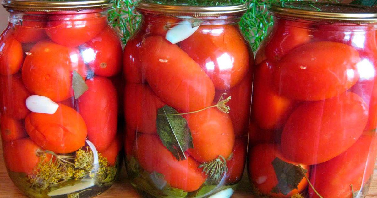 Co s úrodou rajčat: Na zavařených rajčatech si pochutnáte i příští zimu